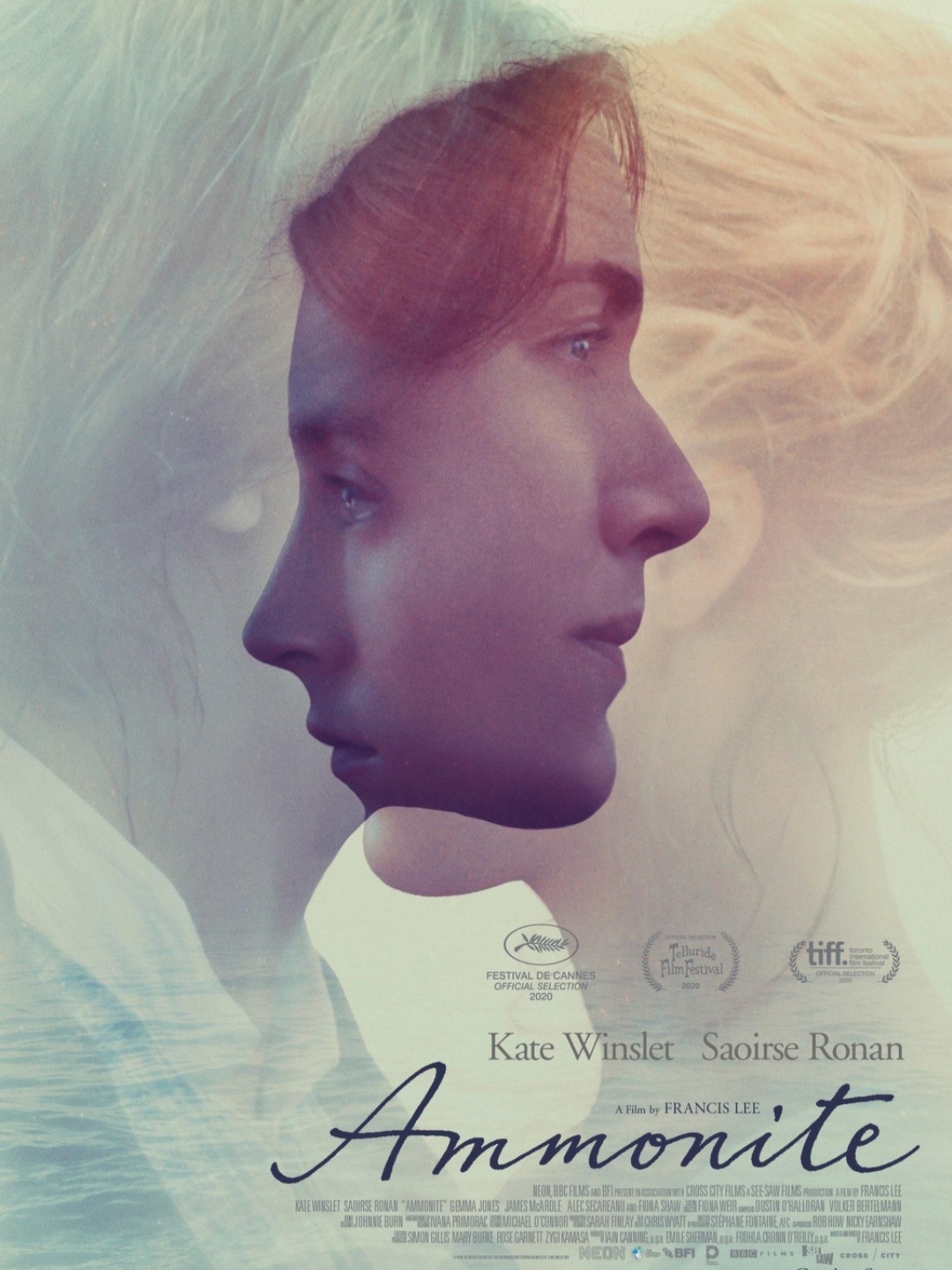 Ammonite - Francis Lee - critique