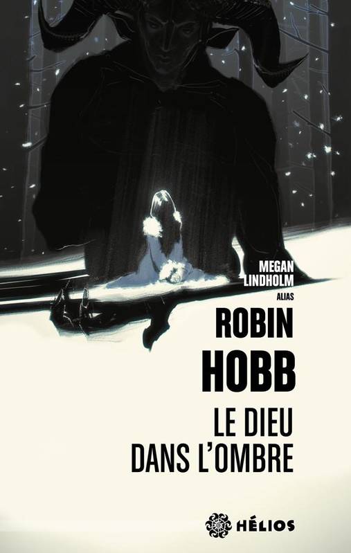 Le Dieu dans l'ombre - Megan Lindholm - critique du livre